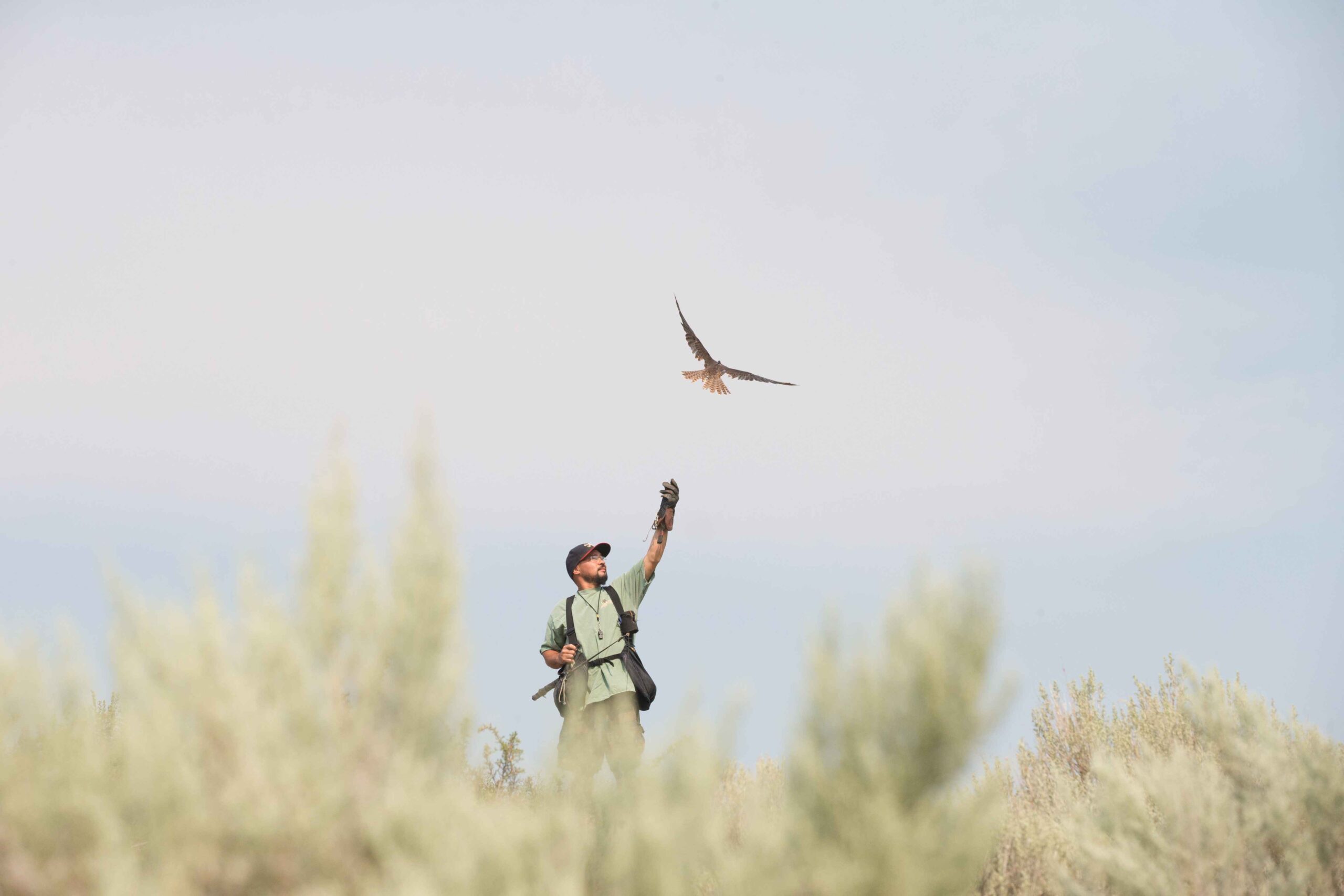 WeAreAmway: Meet the Pest Control Leader at our Organic Farm in ...